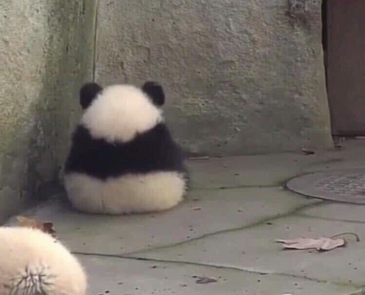 Mitchtape #1: Depressing Winter Emo-Pop Playlist – Astonishing Mysteries